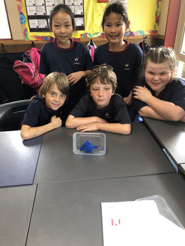 Push, Pull, Squeeze, Twist, Stretch or Pinch - Wentworth Private School ...